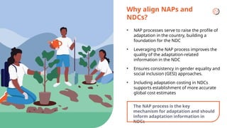 How can the NAP Process and NDC be Aligned and Why They Matter | PPT