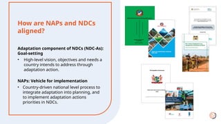 How can the NAP Process and NDC be Aligned and Why They Matter | PPT