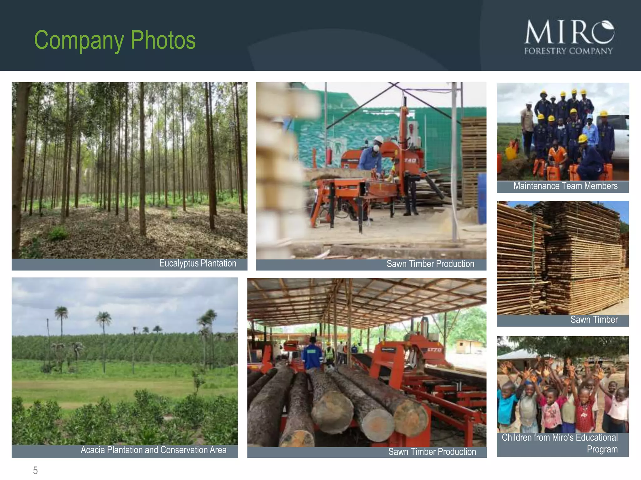 Learning by doing (Miro Forestry) | PPT
