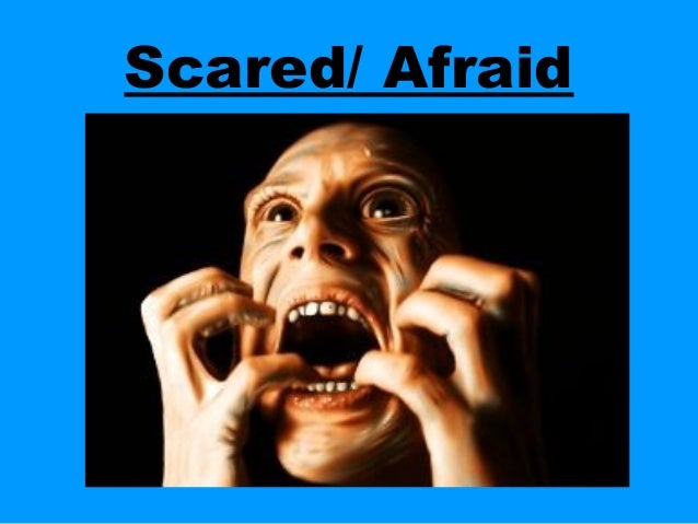 feelings flash cards