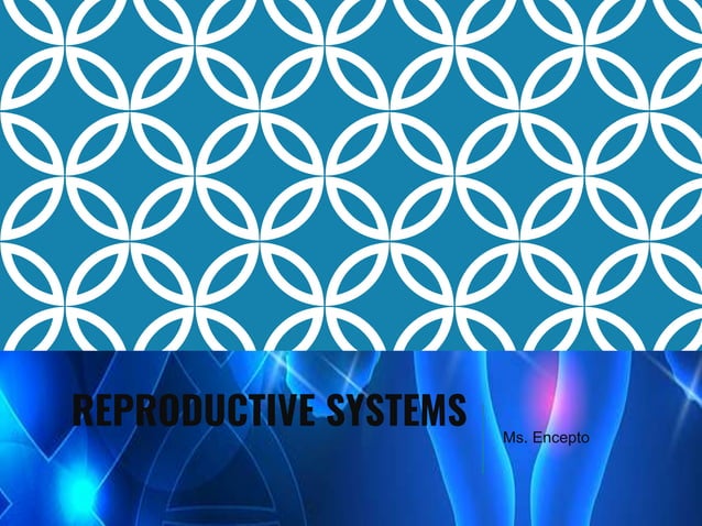 Reproductive system- parts and functions, | PPT