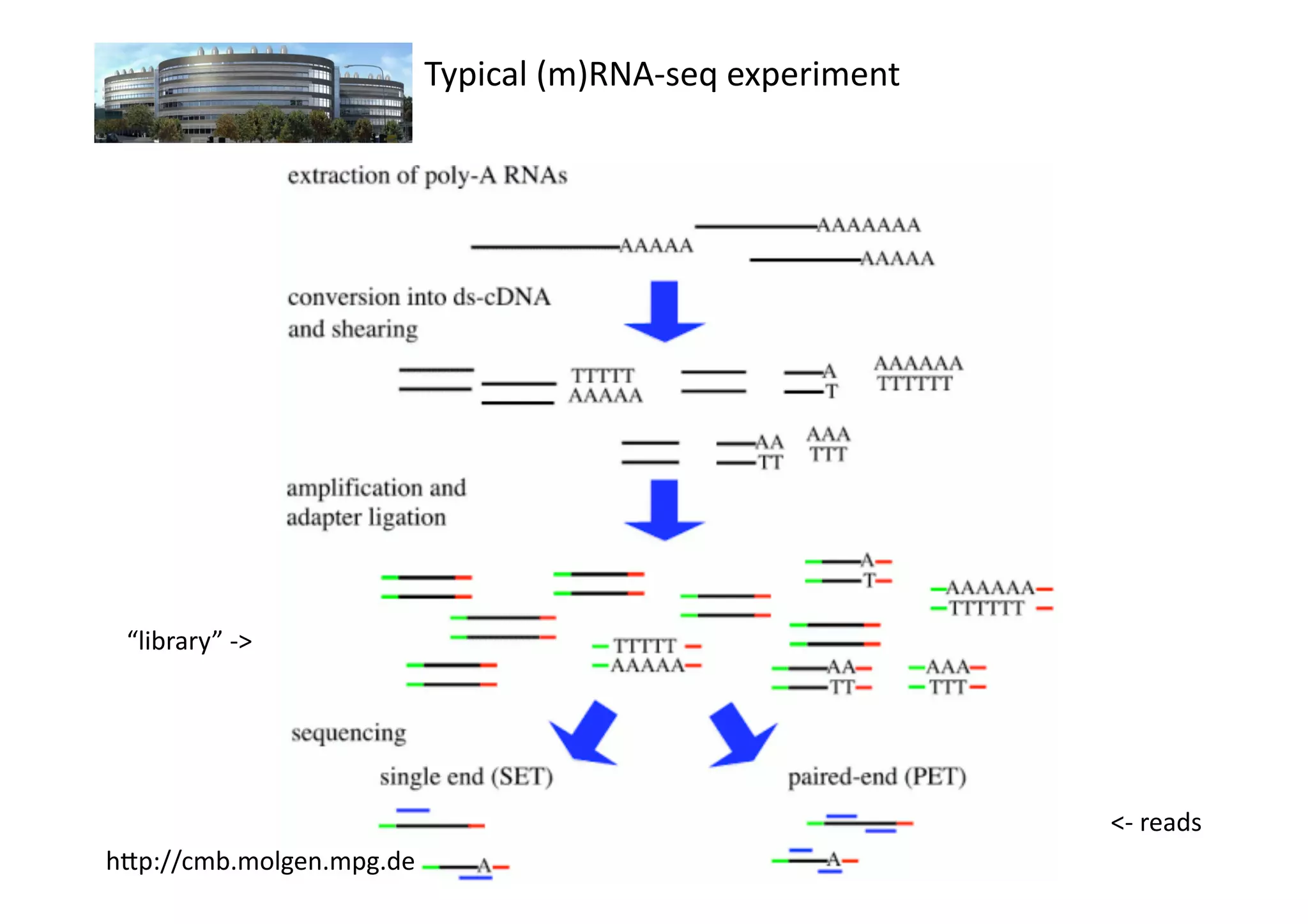 RNA-seq Analysis | PDF