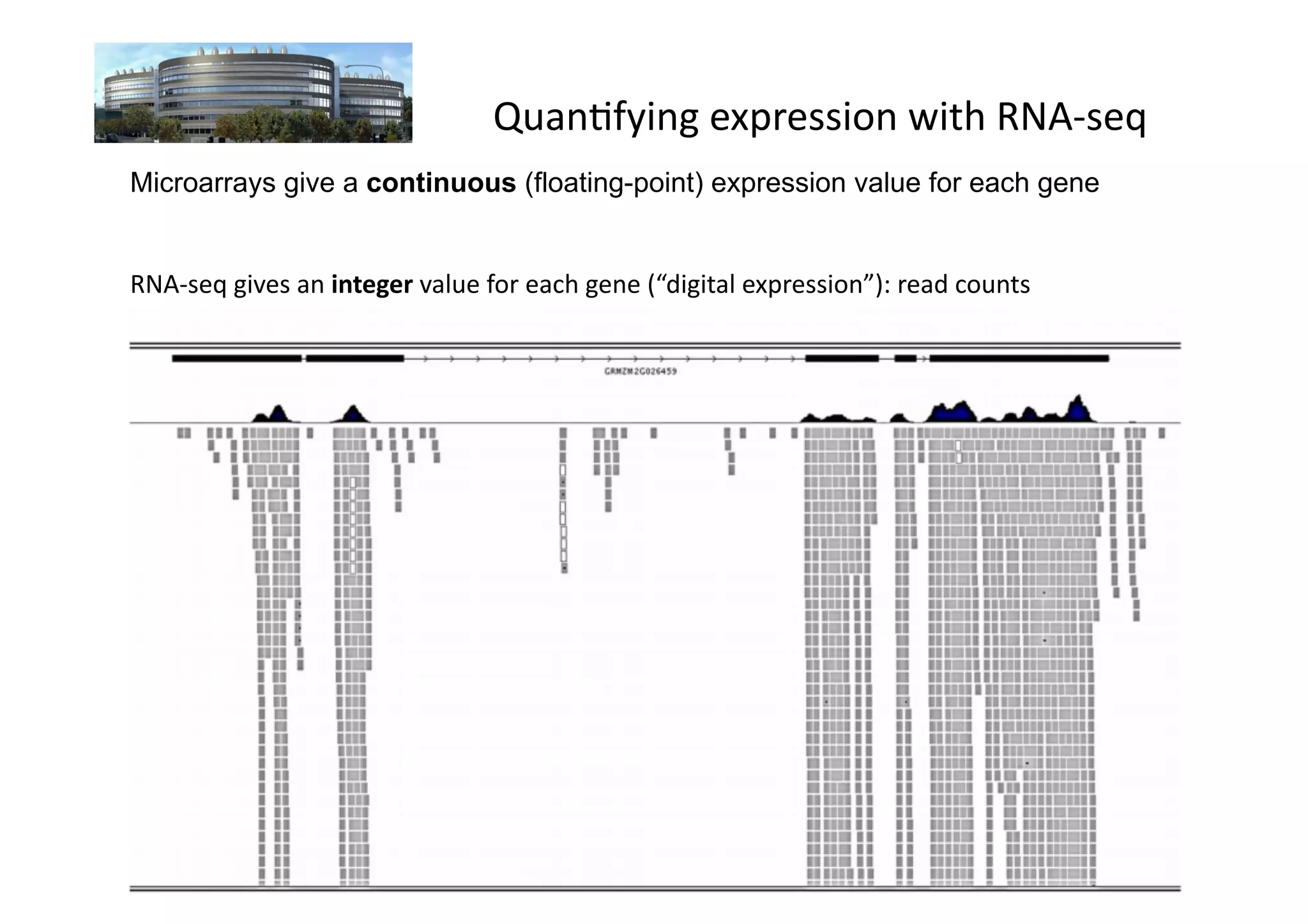 RNA-seq Analysis | PDF