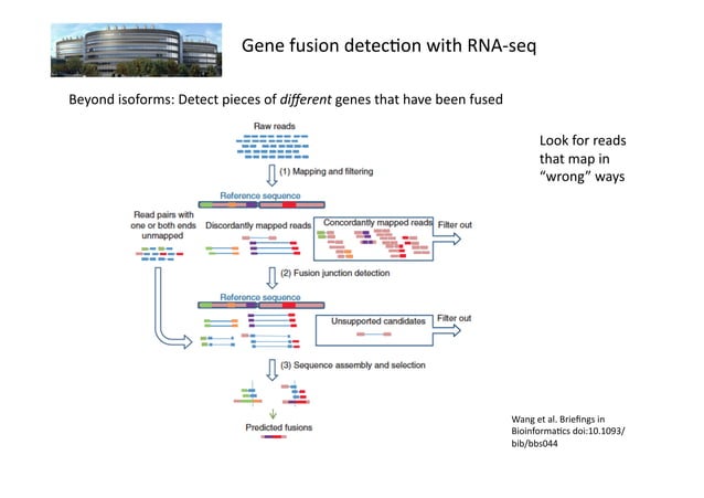 RNA-seq Analysis | PDF | Biological Sciences | Science