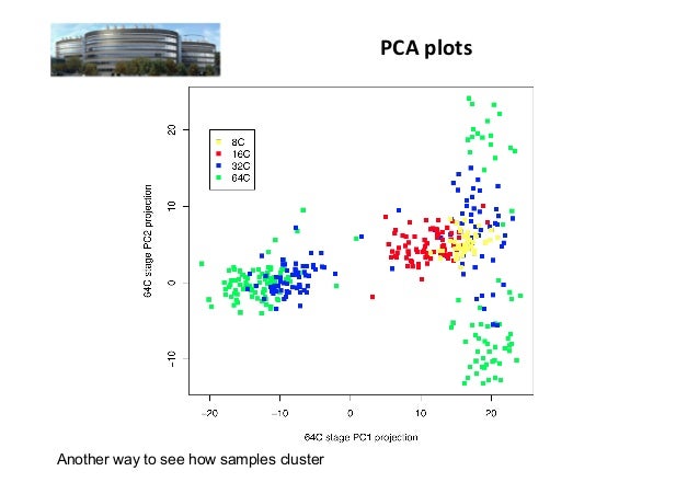 Rna Seq Pca