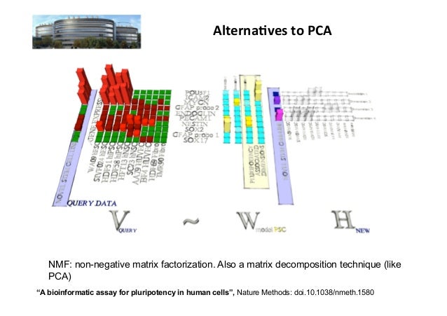 Rna Seq Pca