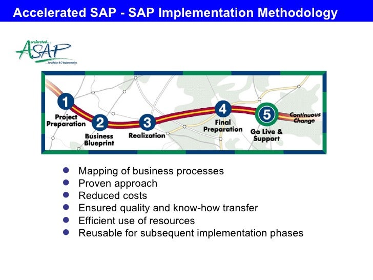 sap overview 1.1