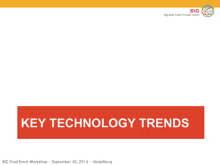 Key Technology Trends for Big Data in Europe | PDF