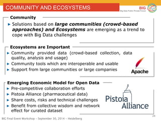 Key Technology Trends for Big Data in Europe | PDF