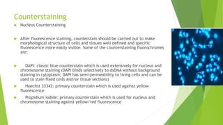 Immunohistochemistry description of the fluorescence mehodes and ...