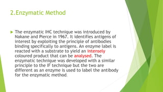 Immunohistochemistry description of the fluorescence mehodes and ...