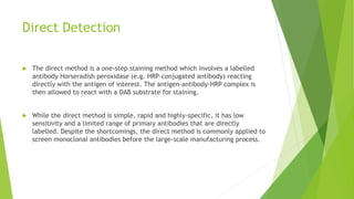Immunohistochemistry description of the fluorescence mehodes and ...