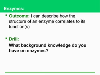 Day 2 - Enzyme Structure and Function.pptx