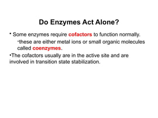 Day 2 - Enzyme Structure and Function.pptx
