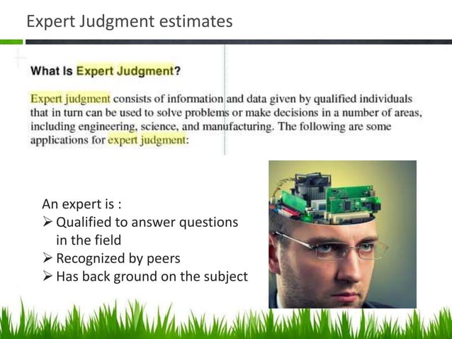 Day 2 expert judgment | PPTX | Science