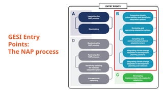 Gender Equality and Social Inclusion (GESI) in NAP processes and NbS.pptx