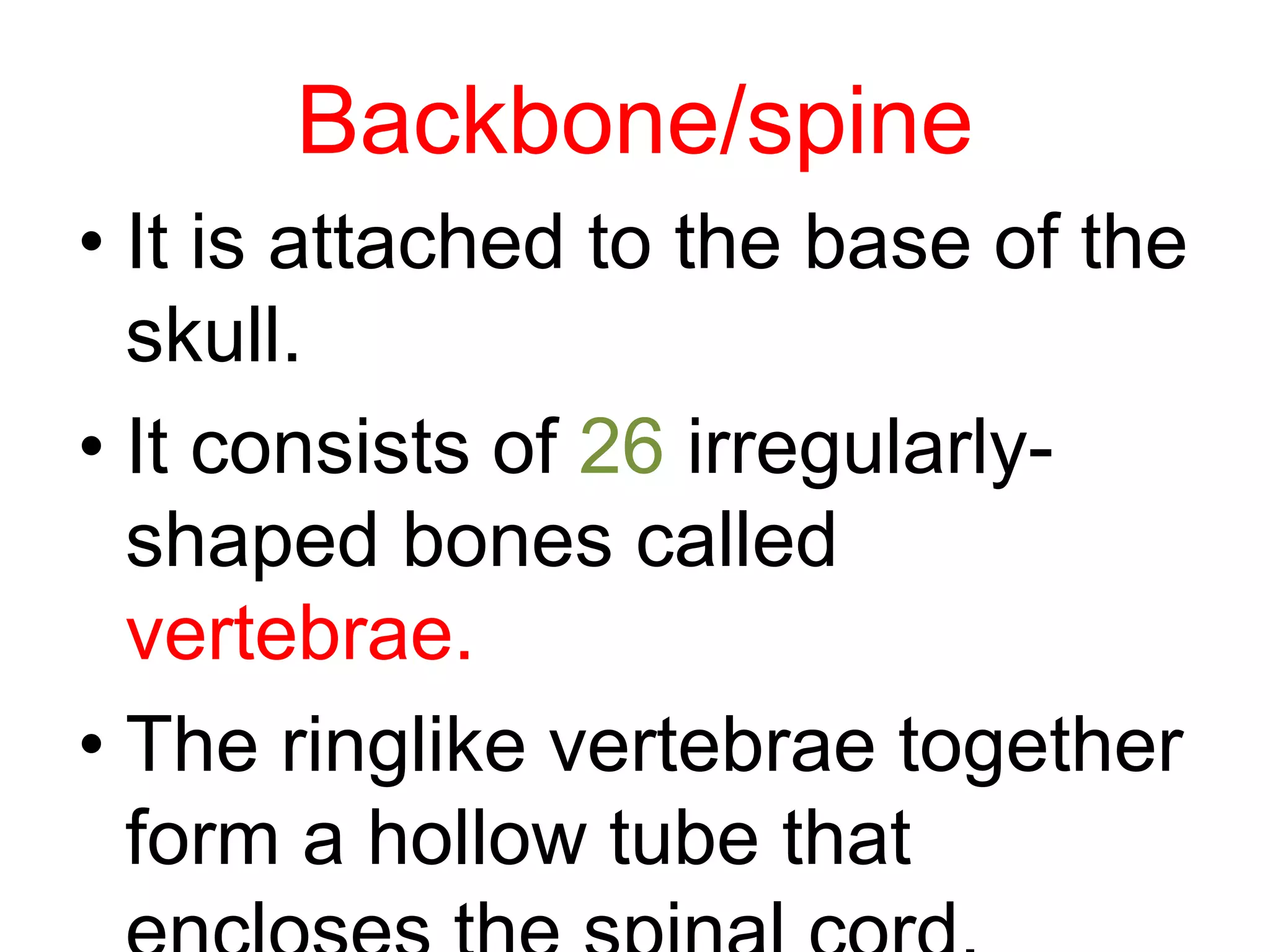 Skeletal System | PPT