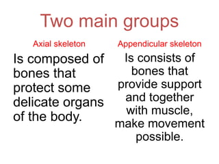 Skeletal System | PPTX