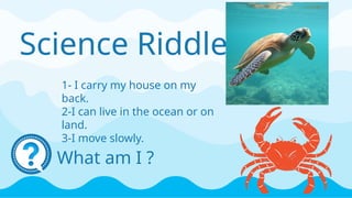 Day 2 - Science Facts - Turtle. Dive into science | PPTX