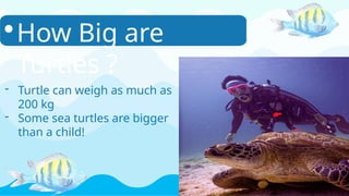 Day 2 - Science Facts - Turtle. Dive into science | PPTX