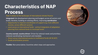 Landscape of international adaptation finance and role of NAPs | PPT