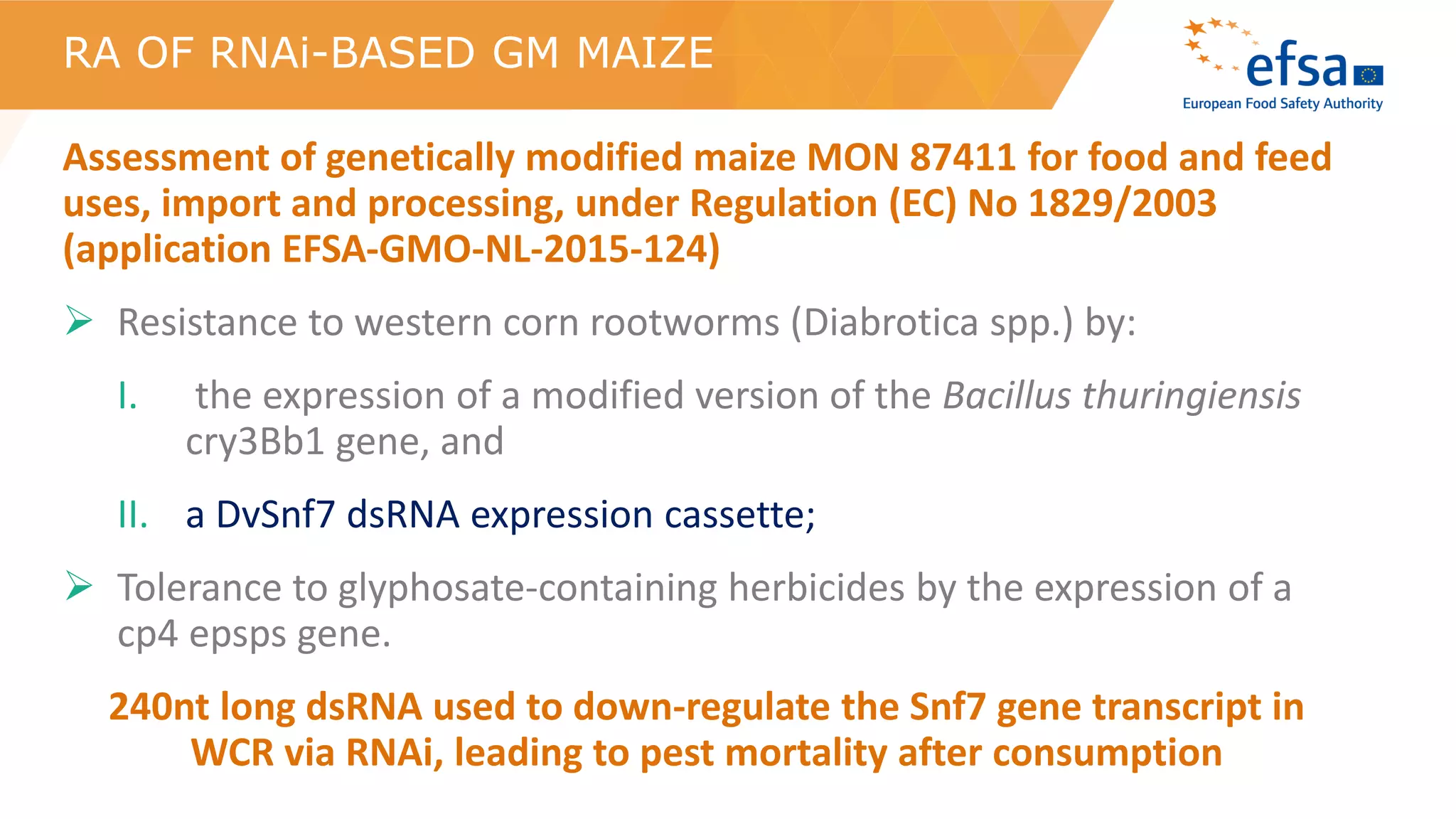 Review of EFSA’s activities on the risk assessment of RNAi-based GM ...