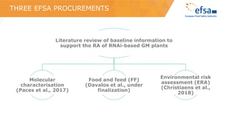 Review of EFSA’s activities on the risk assessment of RNAi-based GM ...