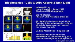 Photobiomodulation, Biophysics and Energy Medicine Technology: The ...