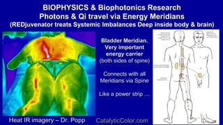 Photobiomodulation, Biophysics and Energy Medicine Technology: The ...