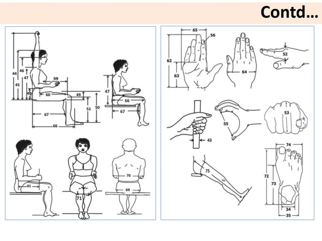 Day 28 Ergonomic Considerations in Designing Agricultural Machinery | PDF