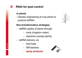 Ecological assessment of topically applied dsRNA-based products - Jörg ...
