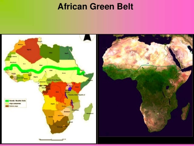 Day 2 DRC Exchange of experience on African Green Belt Initiative
