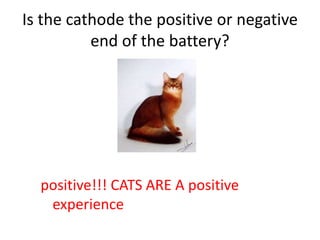 Day 2 electrochem | PPT