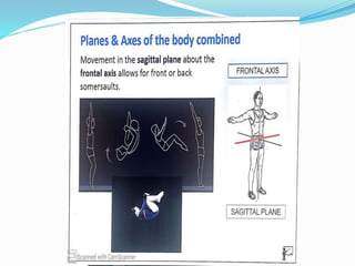 Kinesiology | PPTX