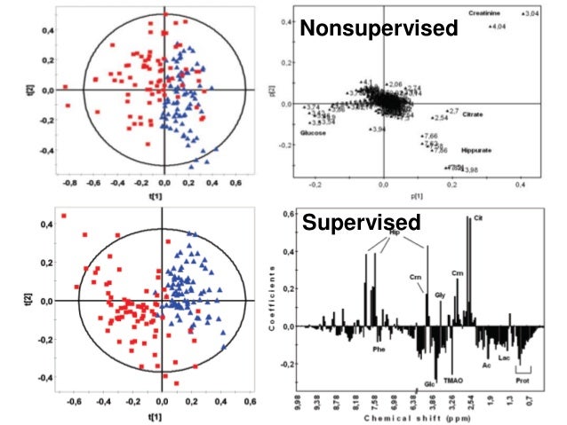 Metabolomics Data Analysis