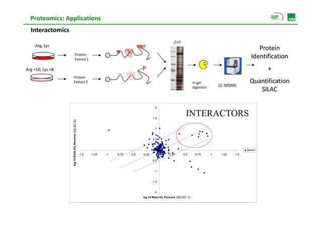 Proteomics analysis: Basics and Applications | PDF