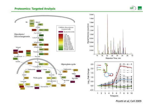 Proteomics analysis: Basics and Applications | PPT
