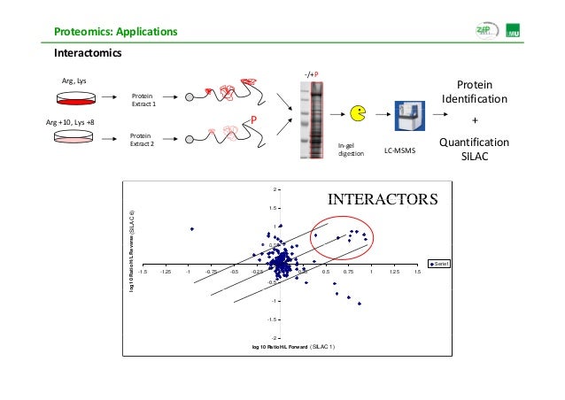 Proteomics analysis: Basics and Applications