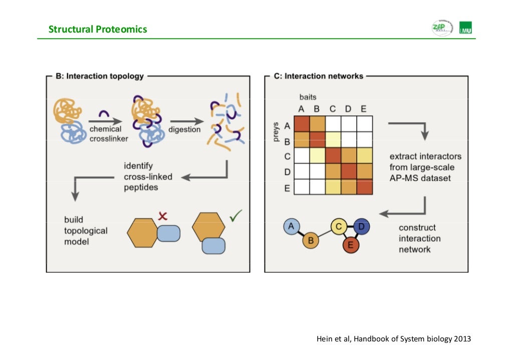 Proteomics analysis: Basics and Applications