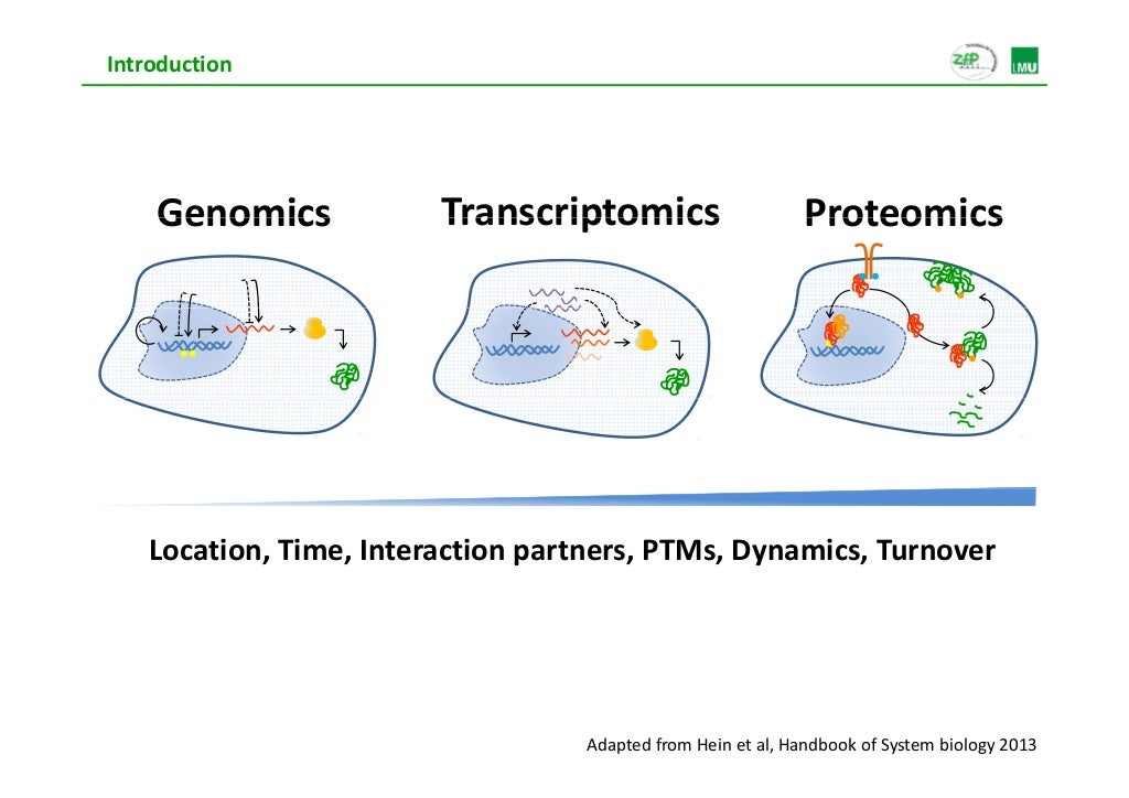 Proteomics analysis: Basics and Applications