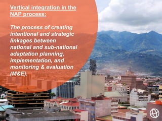 Introduction: Vertical Integration in the NAP Process | PPT