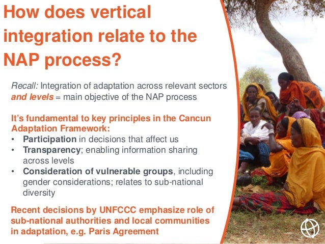 Introduction: Vertical Integration in the NAP Process