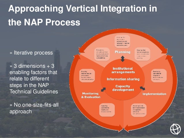 Introduction: Vertical Integration in the NAP Process