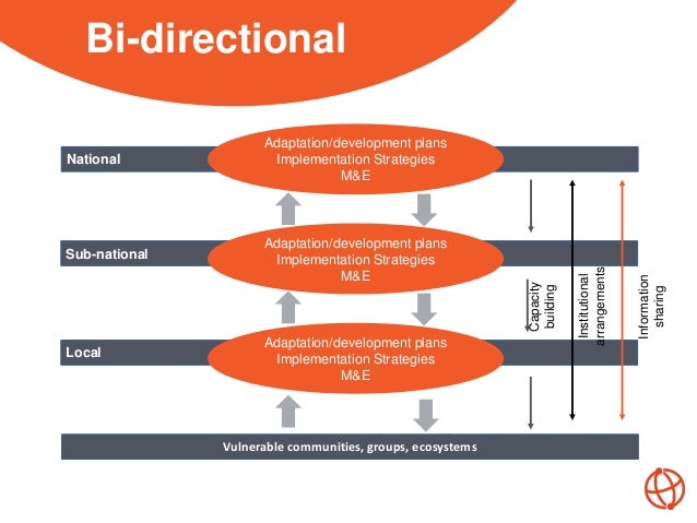 Introduction: Vertical Integration in the NAP Process