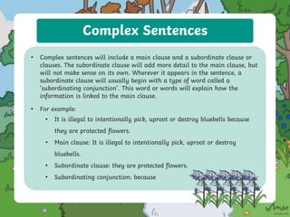 Day 2 Simple, Compound, Complex Sentences Game.pptx