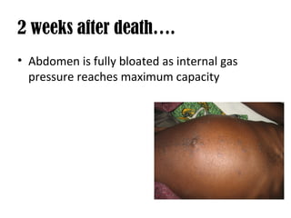 Day 2 the science of death | PPT