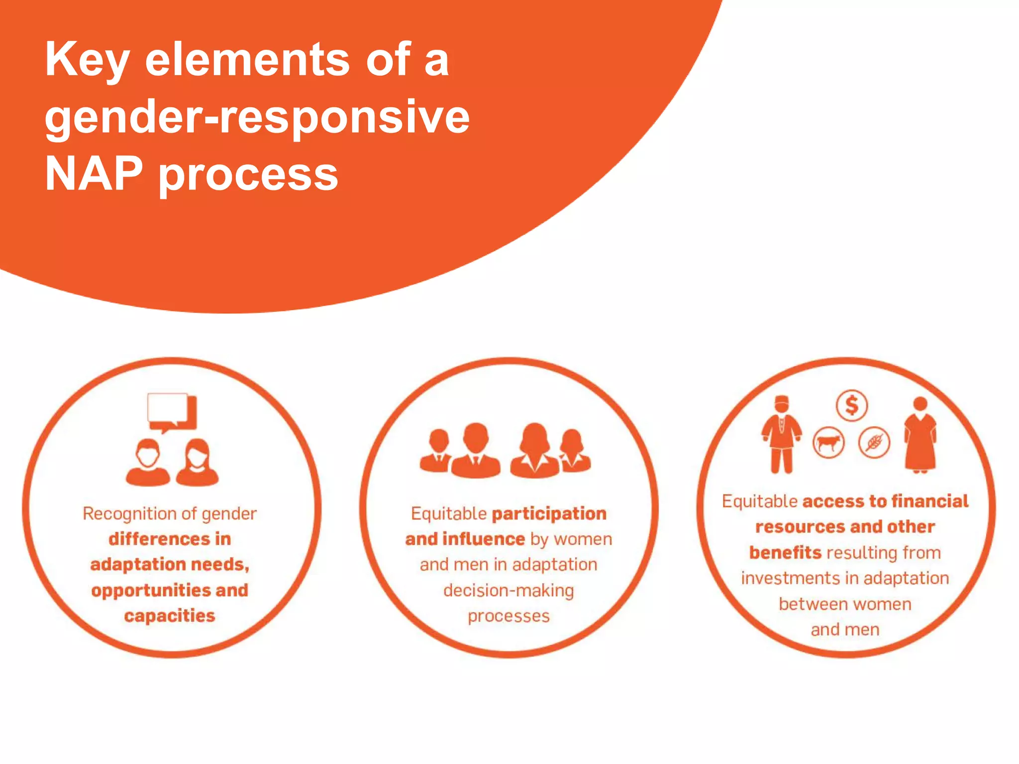 Gender-responsive NAP processes: Introduction | Angie Dazé, IISD | PPT