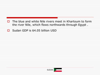 Day 3 Sudad Hussein - Sudan National Initiatives case study | PPT