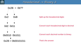 ccna practice Day 31 Slides - IPv6 (Part 1).pdf