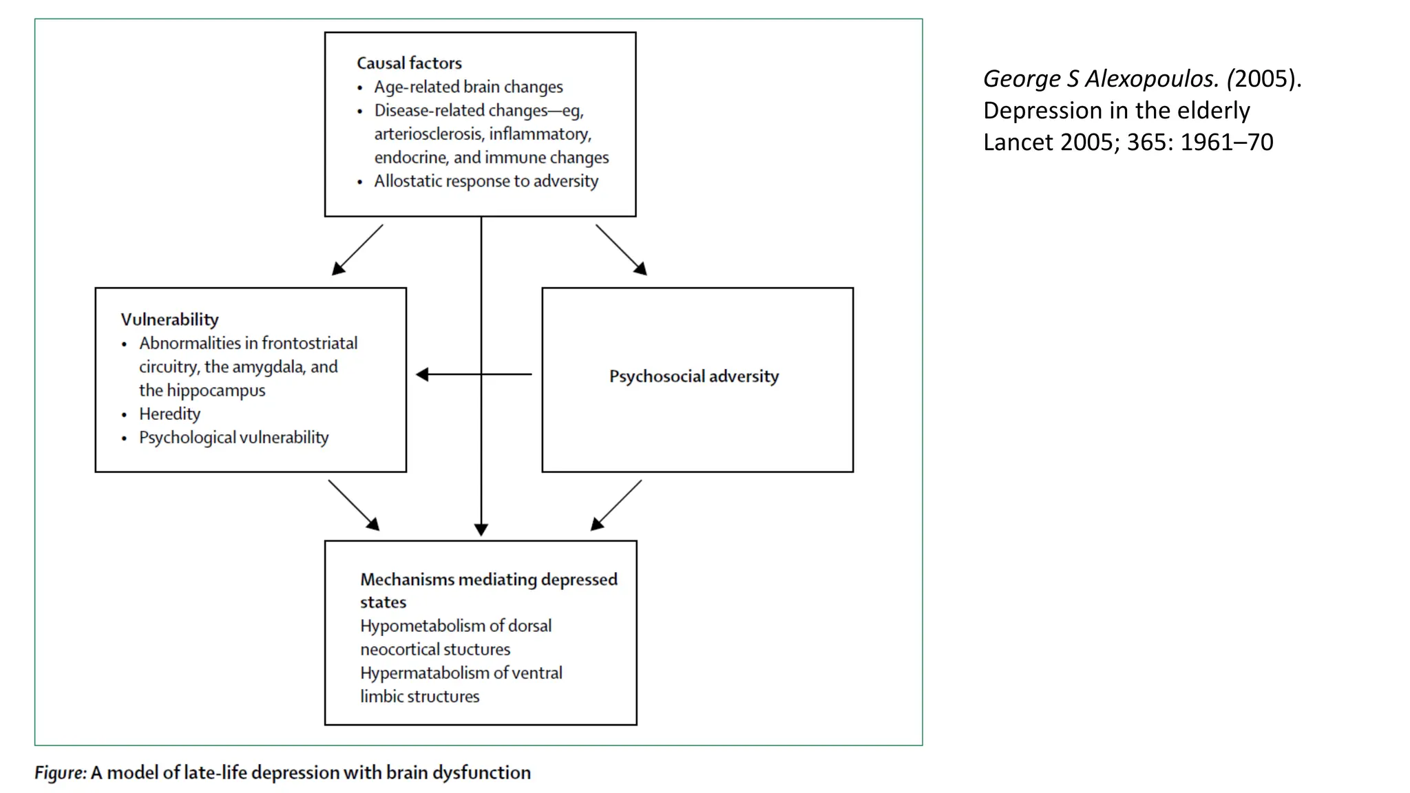 Depression in the Elderly - lecture series sw559 | PDF
